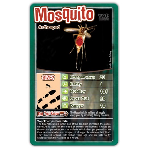 Top Trumps Bugs - Which is the Creepiest? | Buy online at The Nile