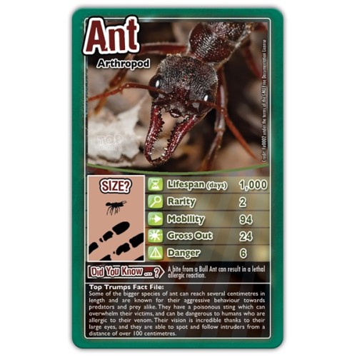 Top Trumps Bugs - Which is the Creepiest? | Buy online at The Nile
