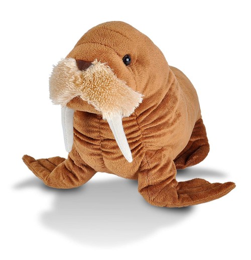 Wild Republic Cuddlekins Walrus Plush Toy | Buy online at The Nile
